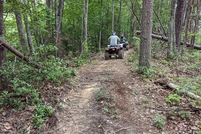 East Tennessee Off Road ATV Guided Experience - Who Should Book This Experience?