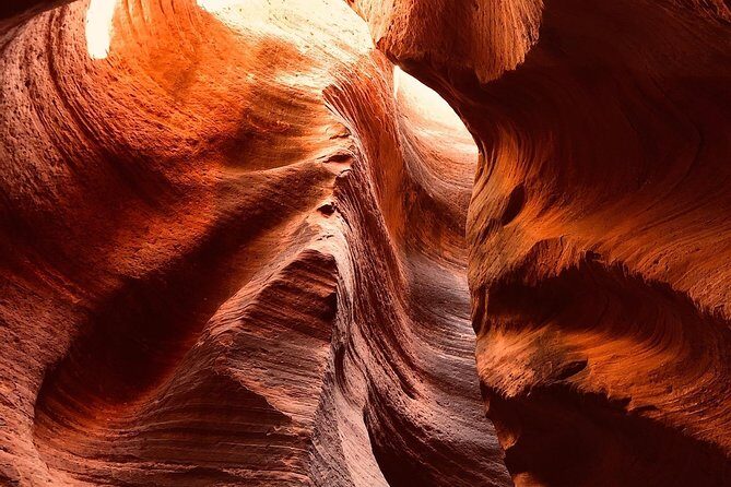 East Zion 4 Hour Slot Canyon Canyoneering UTV Tour - What to Expect from the Tour