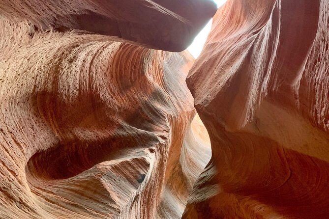 East Zion 4 Hour Slot Canyon Canyoneering UTV Tour - The Value of the Experience