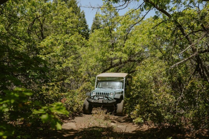 East Zion: Brushy Cove Jeep Adventure - What Makes This Tour Stand Out