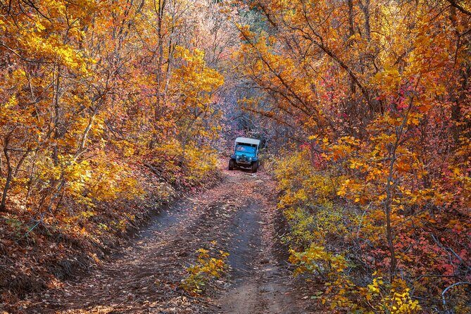 East Zion Brushy Cove Jeep Tour - Authentic Experiences and Practical Insights