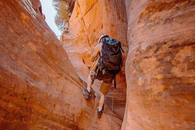 East Zion: Coral Sands Half-day Canyoneering Tour - Final Thoughts: Why Choose This Tour?