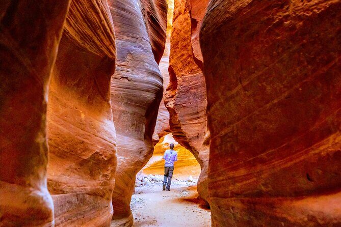 East Zion Crimson Canyon Hike & UTV Adventure - Who Will Love This Tour?