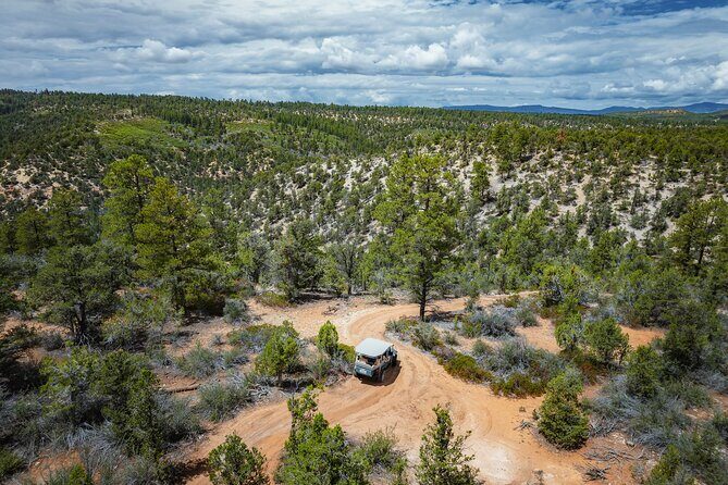 East Zion East Rim Jeep Tour - Analyzing the Value