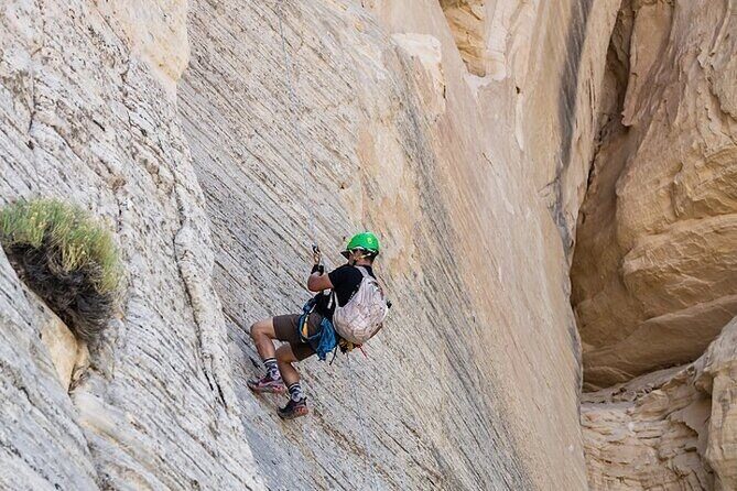 East Zion Elk Heart Cliffs Via Ferrata and Rappelling (3Hr) - Why This Tour Is Worth Considering