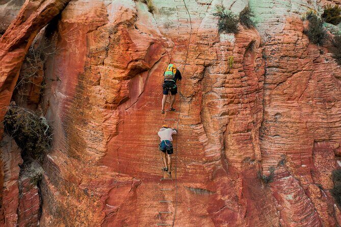 East Zion Elk Heart Cliffs Via Ferrata and Rappelling (3Hr) - Who Should Book This Tour?