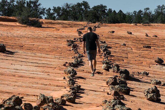 East Zion Outback UTV Tour with Licensed Guide - What Makes This Tour Special?