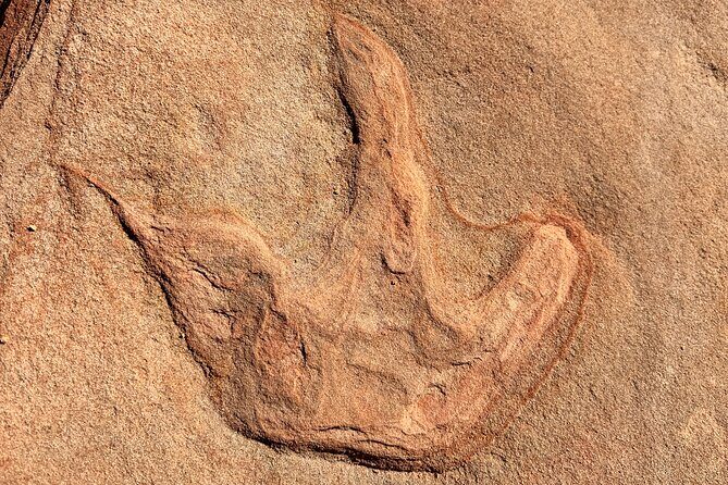 East Zion Outback UTV Tour with Licensed Guide - What Past Travelers Say (Based on Reviews)