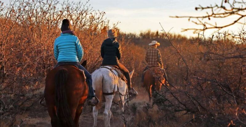 East Zion: Pine Knoll Horseback Tour - Introducing the East Zion Pine Knoll Horseback Tour