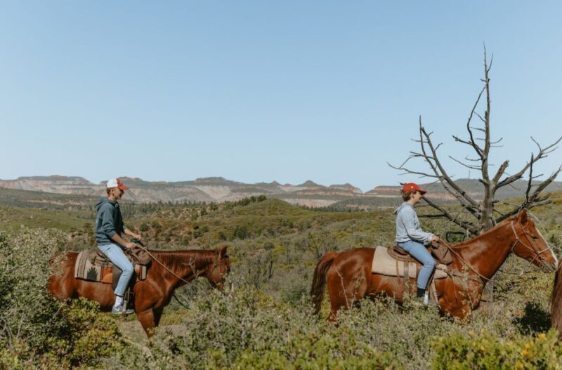 East Zion: Pine Knoll Horseback Tour - The Horses, Equipment, and Safety