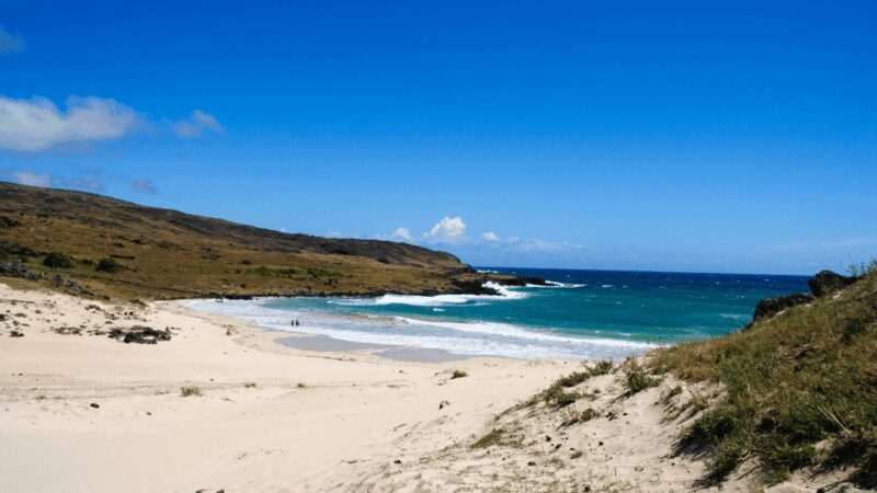 Easter Island: Moai Full Day Private Tour - What Makes This Tour Special?