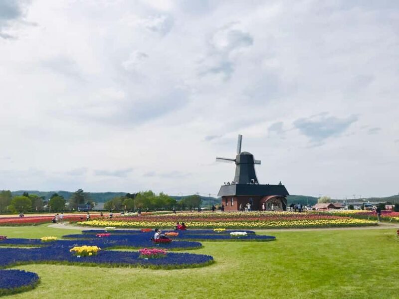 Eastern Hokkaido: Shibazakura & Tulip Park Day Tour - The Sum Up