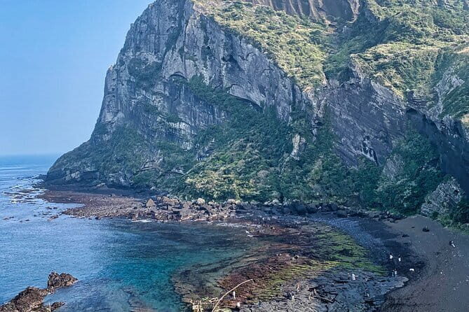 Eastern Jeju: All Inclusive Private Tour w/ Tangerine picking - Introduction