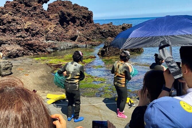 Eastern Jeju: All Inclusive Private Tour w/ Tangerine picking - Key Points