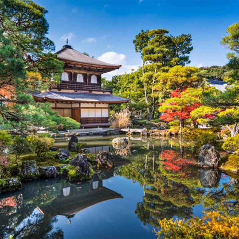 Eastern Kyoto Walk: Philosophers Path & Temples - The Value and Practicalities