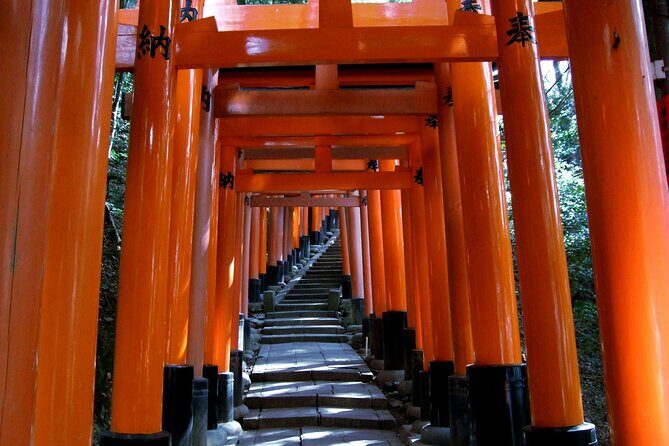 Eastern Kyoto Walking Tour with Local Guide - Authentic Insights from Travelers