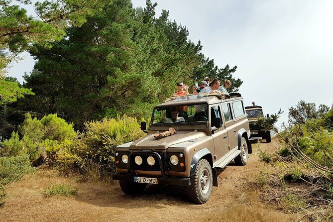 Eastern Madeira Sustainable Tour in a 4x4 with Lunch - Transport, Group Size, and Overall Value