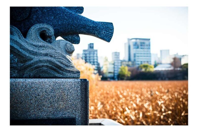 Eastern Tokyo "Shitamachi": Urban Photography Adventure - Final Thoughts: Who Will Love This Experience?