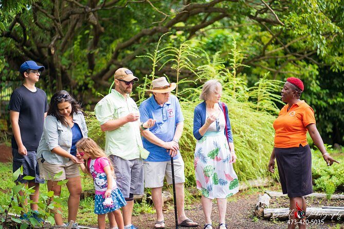 Eastern Tours/ Mt. Carmel Falls / Laura Spice Tour / Clarke's Court Distillery - Authenticity and Value