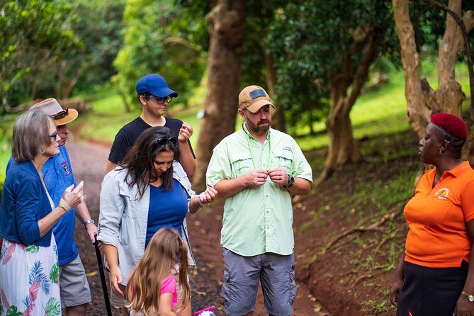 Eastern Tours/ Mt. Carmel Falls / Laura Spice Tour / Clarke's Court Distillery - Who Should Consider This Tour?