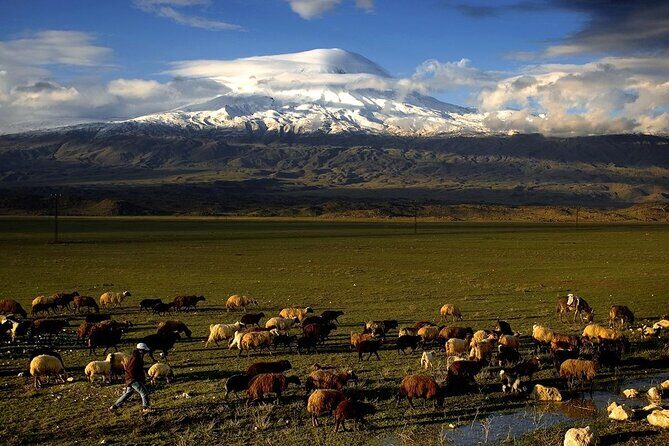 Eastern Turkey 12-Day Sightseeing Tour from Trabzon - Who Should Consider This Tour?