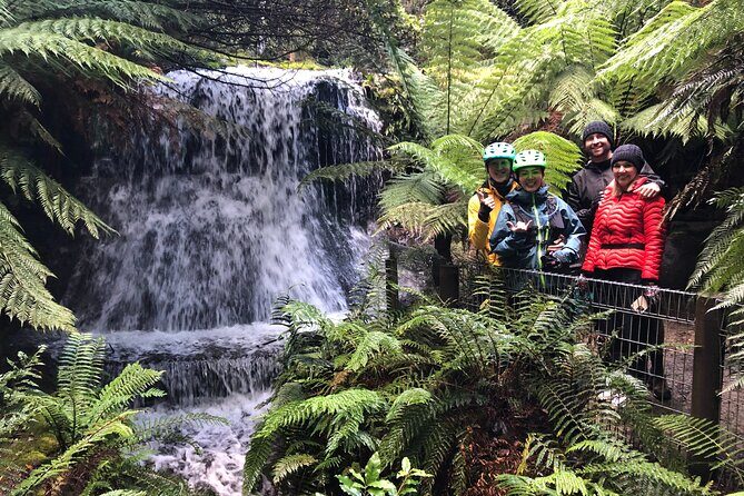 Easy Bike Tour - Mt Wellington Summit Descent & Rainforest Ride - What Makes This Tour Stand Out