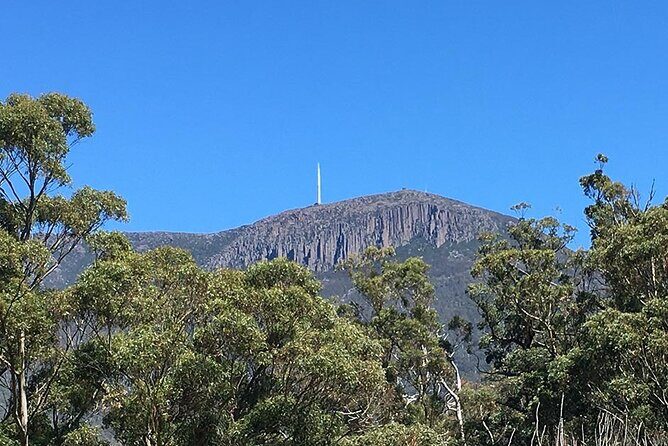 Easy Bike Tour - Mt Wellington Summit Descent & Rainforest Ride - Key Points
