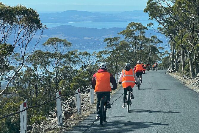 Easy Bike Tour - Mt Wellington Summit Descent & Rainforest Ride - Authentic Insights from Reviews