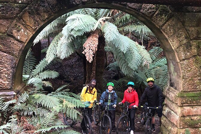 Easy Bike Tour - Mt Wellington Summit Descent & Rainforest Ride - FAQ