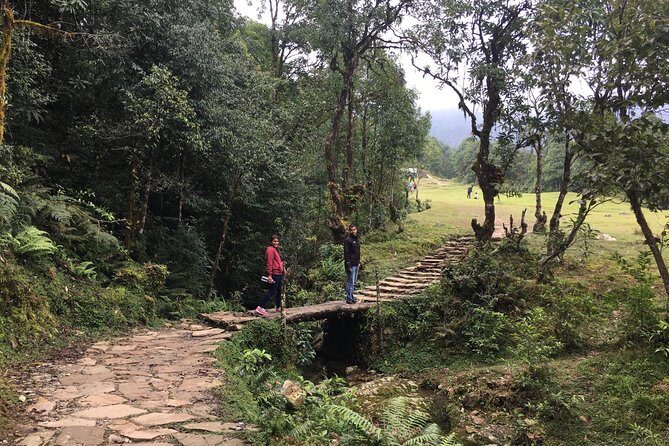 Easy Hiking to Australian Camp from Pokhara - Introduction: An Easy Way to Experience Nepal’s Natural Beauty