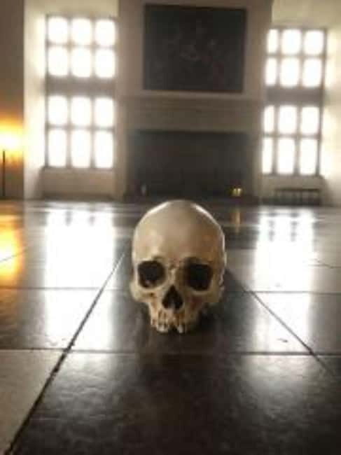 Easy Pace Tour of Kronborg Castle and Frederiksborg Palace - Key Points