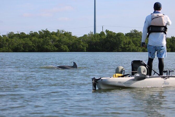 Easy Ride Pedal Kayak Tour Marco Island & Naples (Pedal or Paddle - Pricing and Overall Value