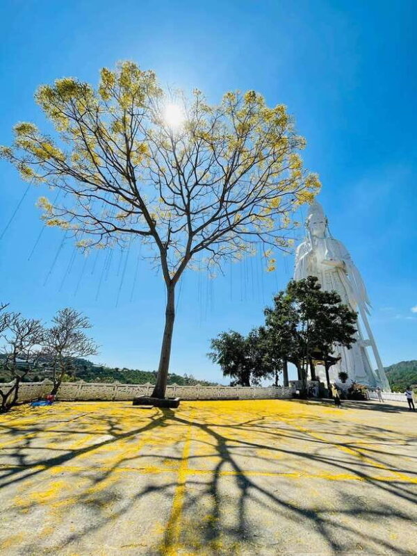 Easy Rider Dalat To Nha Trang by Motorbike Tour (3 Days) - FAQ