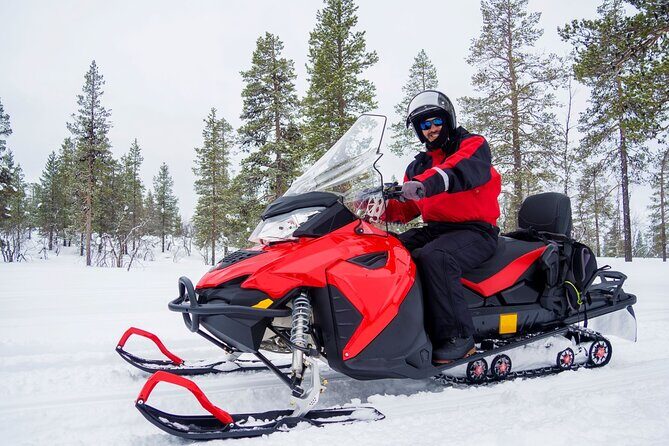 Easy Snowmobile Safari - Introduction