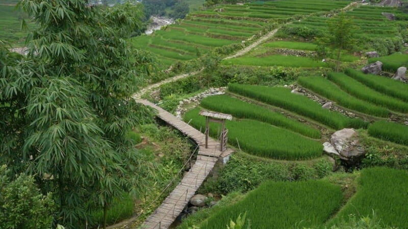 Easy Trek in Sapa mountain : Y Linh Ho - Lao Chai - Ta Van - Introduction