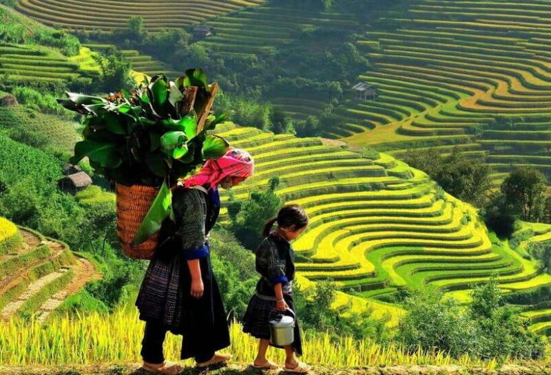 Easy Trek in Sapa mountain : Y Linh Ho - Lao Chai - Ta Van - What Makes This Trek Stand Out