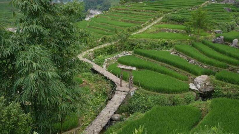 Easy Trek in Sapa mountain : Y Linh Ho - Lao Chai - Ta Van - Important Practicalities