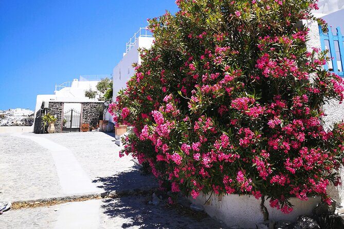 Easy Walks in Santorini Private Half Day Tour - Why You Might Choose This Tour