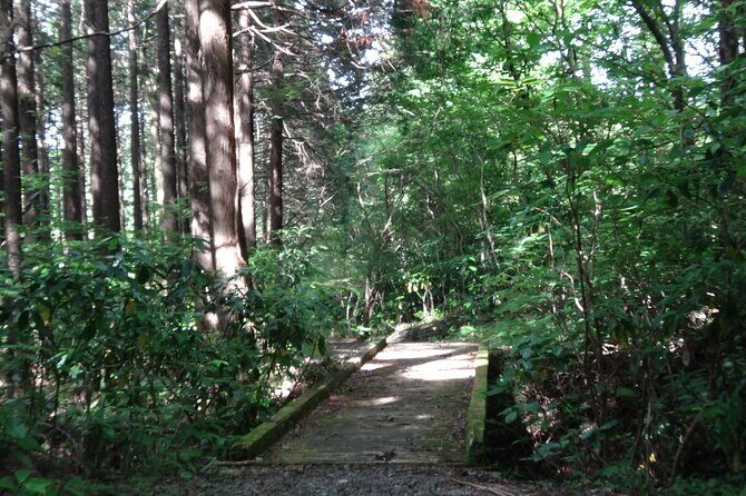 Easygoing Nature Walk in Hakone Tour - FAQ