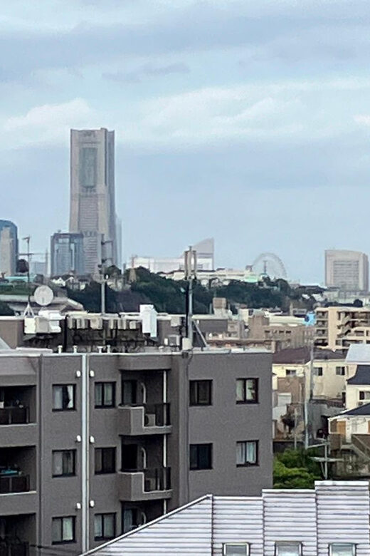 Eat like a local in Yokohama - with a Local Expert Guide! - A Detailed Breakdown of the Itinerary