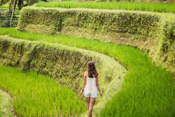 Eat Pray Love Bali Private Tour Full Day - A Close Look at the Experience