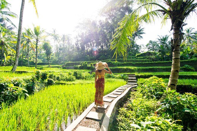 Eat Pray Love Bali Private Tour Full Day - Transportation and Comfort