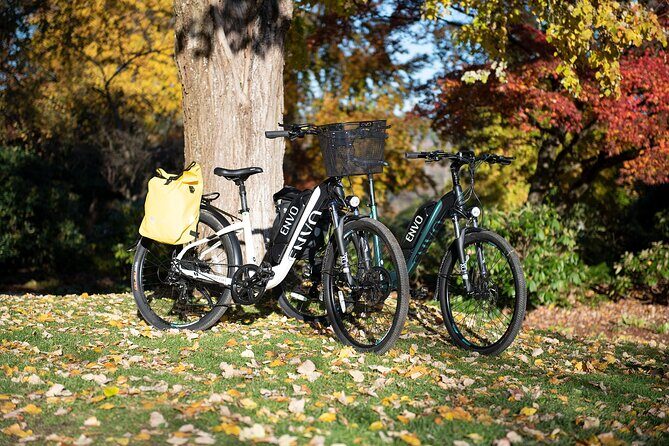 eBike Rentals in Kelowna - Who Will Enjoy This Experience?