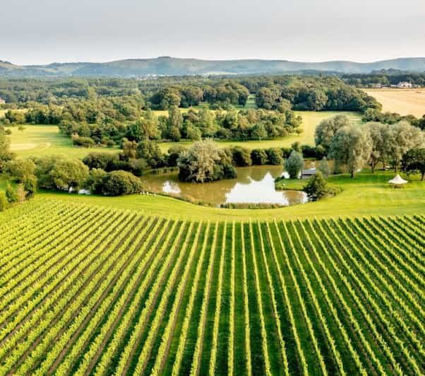 Ebike Tour Albourne Estate: Wine Tasting and Downs eBiking - The Bike Ride: Comfort, Convenience, and Confidence
