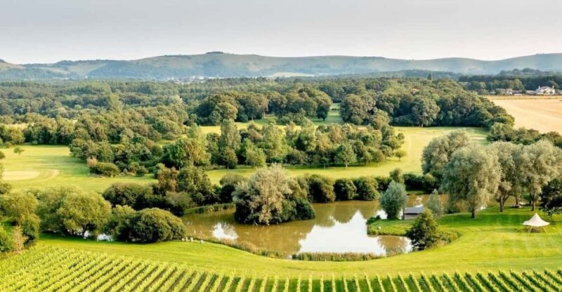 Ebike Tour Albourne Estate: Wine Tasting and Downs eBiking - The Wine & Cheese Experience—A Delight for The Senses