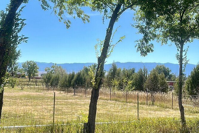 EBIKE Winery Tour in Penrose, Colorado: Penrose Uncorked - Authentic Reviews and Traveler Insights