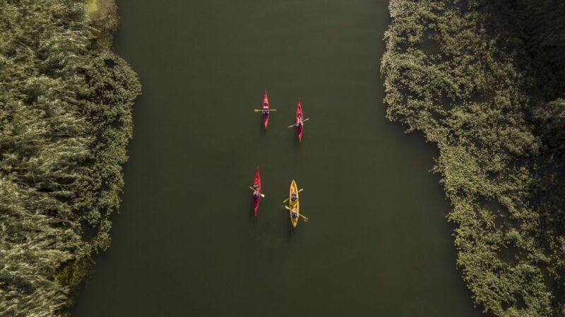Ebro Delta: Guided Kayak Tour to Gracia Island - Key Points