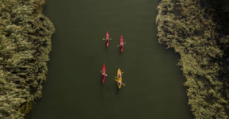 Ebro Delta: Guided Kayak Tour to Gracia Island - Itinerary Breakdown: From Village to Island