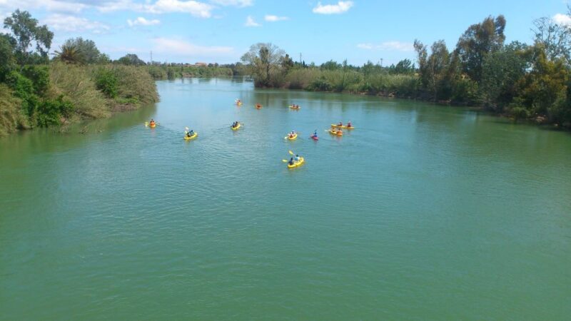 Ebro Delta: Guided Kayak Tour to Gracia Island - What is Included and What to Bring