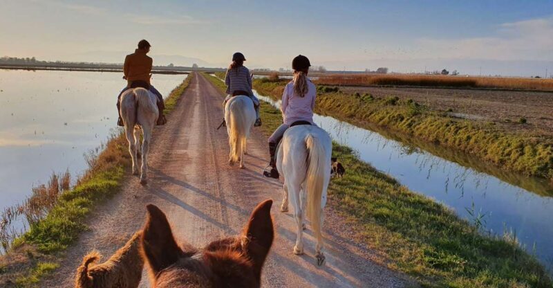 Ebro Delta National Park: Guided Horseback Riding Tour - The Experience Itself: What You Can Expect